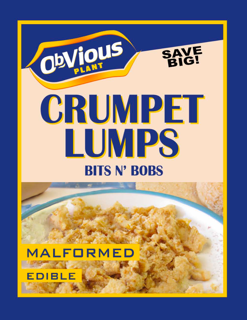 Canned Food Labels (Printable) – Obvious Plant